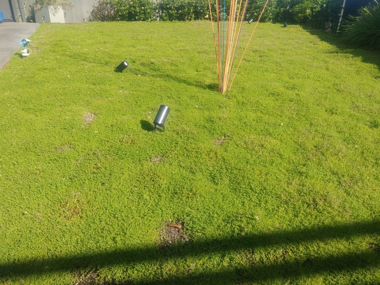 Photo Gallery – No Mow